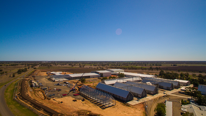 Cotton Seed Processing Plant - RMA